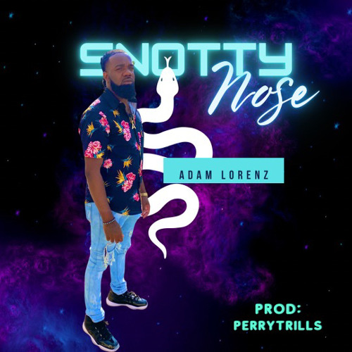 Stream Snotty Nose ft. Jai Bella by Adam Lorenz | Listen online for free on SoundCloud