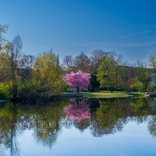 Stream PianoFran | Listen to Spring Sonnet (feat. Fr. Harris) playlist ...