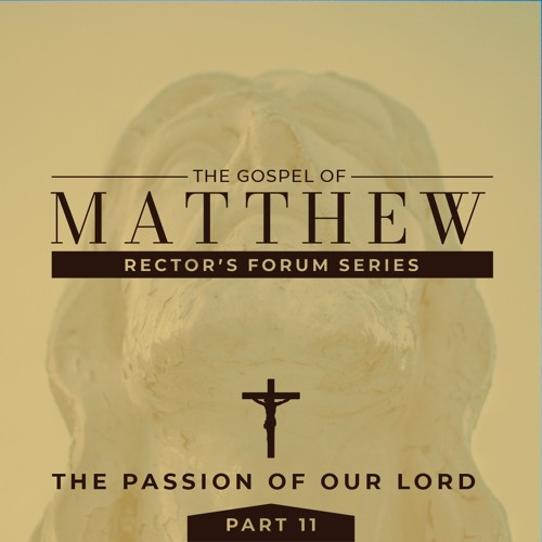 Stream 4/16/2023 - Rector's Forum - The Great Commission by Our Saviour ...