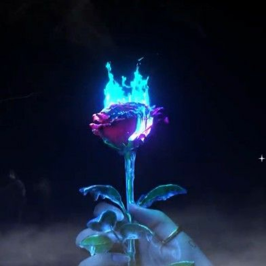 Stream roses - gashi (slowed + reverb) by f0meN | Listen online for ...