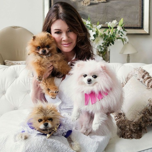 Stream episode Preview - "Vanderpump: From Rules to Dogs" by Hot ...