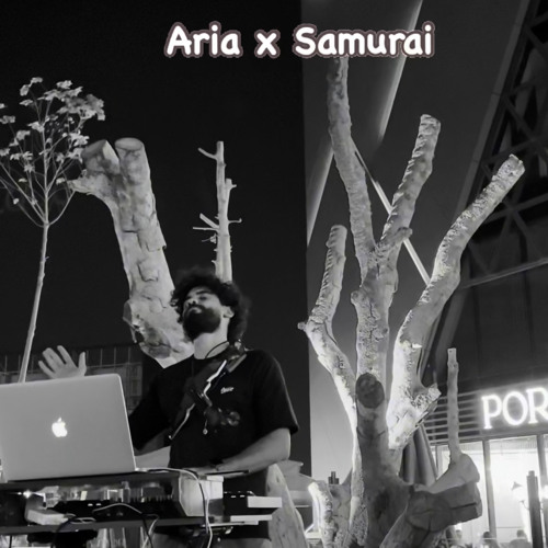 Stream Aria (Anyma)X Samurai (Cairokee) Mashup by Mohamed Obit | Listen ...