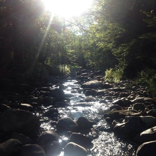 Stream history (bbuggin) by 5ylvr | Listen online for free on SoundCloud