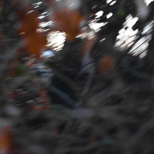 Stream forever by sleepwater | Listen online for free on SoundCloud