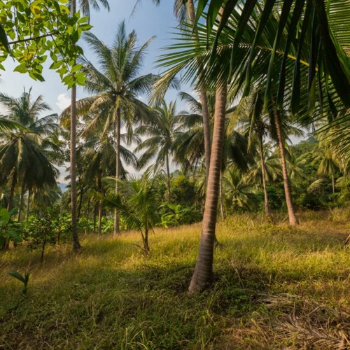 Stream 2021,Stunna | Listen to Hdj----Hdk hd audio background DOWNLOAD ...