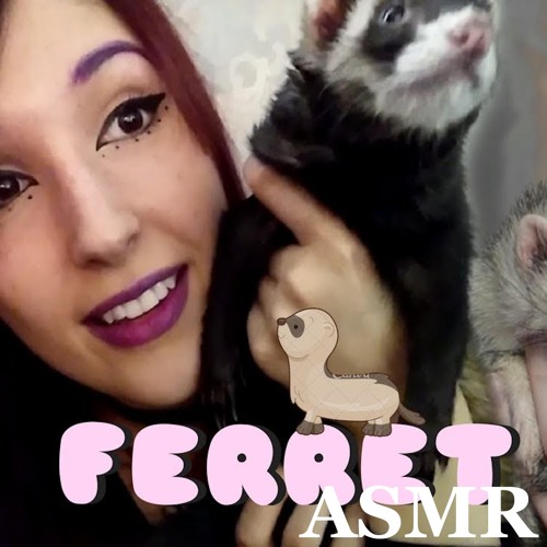 Stream Ferret Ear Licking Pt.1 by Seafoam Kitten's ASMR | Listen online for free on SoundCloud