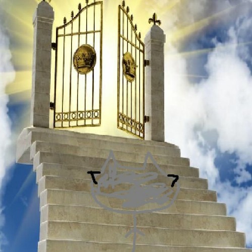Stream Funny Time Gaming Goes to Heaven by Funny time gaming | Listen ... Stream Funny Time Gaming Goes to Heaven by Funny time gaming | Listen ...