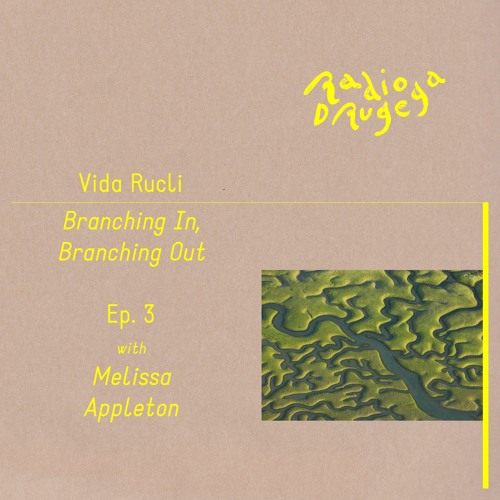 Stream Ep. 3 Branching in, branching out with Melissa Appleton – Vida ...