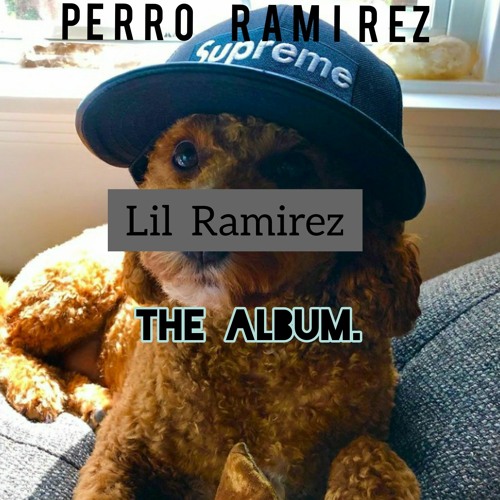 Stream 10 [ Prod Faygommv] (Lil Ramirez) by Perro Ramirez | Listen ...
