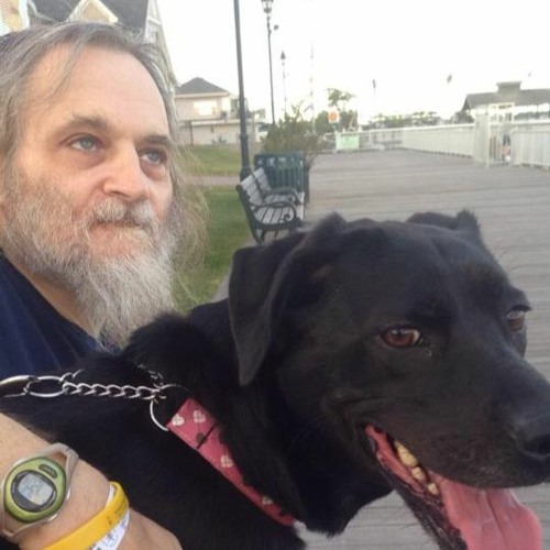 Stream Juke Box Hero by Steve Lieberman, The Gangsta Rabbi | Listen ...