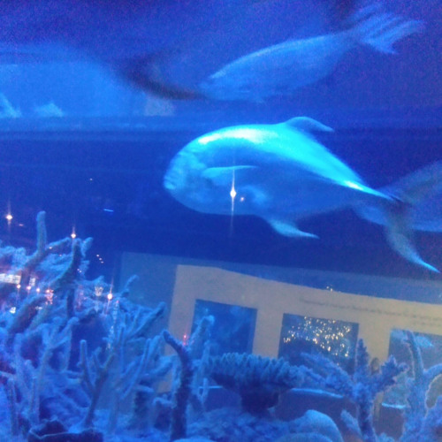 Stream GET PAST IT - pieridxe, tjay ussher, resonator, theyluvdrew by ...