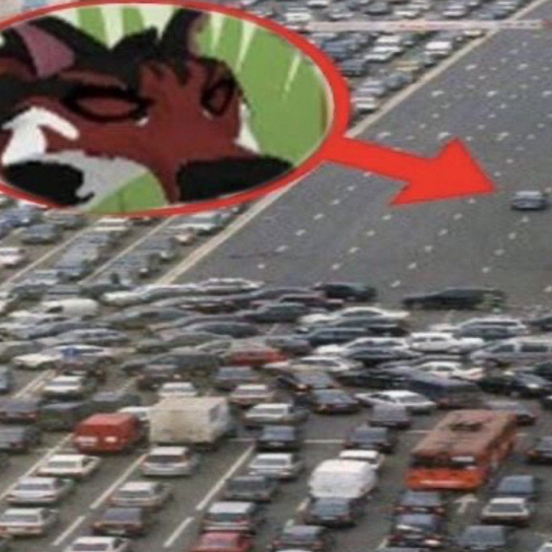 Stream dusk till dawn *prod bbuggin* by eternaljayy | Listen online for ...