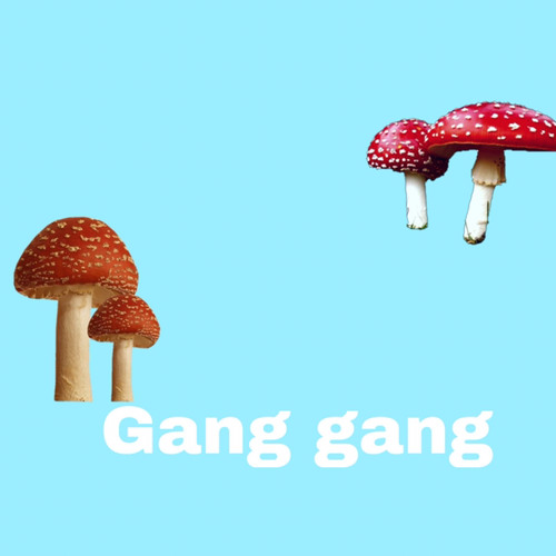 Stream gang gang by the rappty raptors | Listen online for free on ...