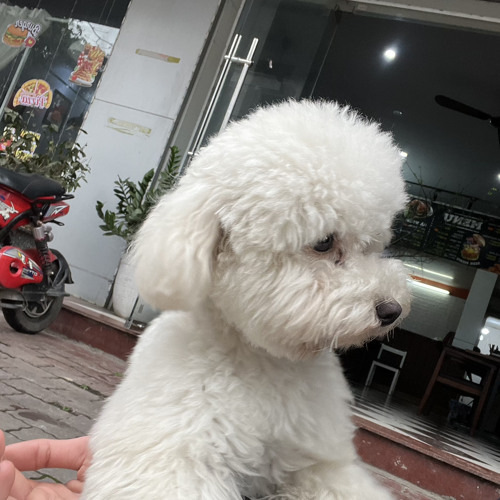 Stream Muon Mang La Tu Luc - hlinh remix by hlih_ | Listen online for ...