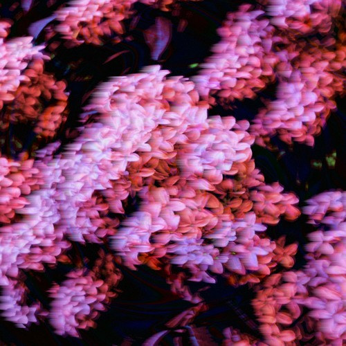 Stream Benji G Carter | Listen to Anamnesis (Executive Produced by ...