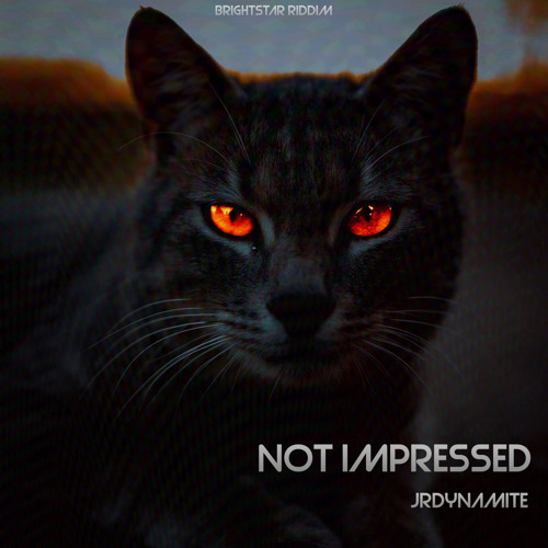 Not Impressed Animals