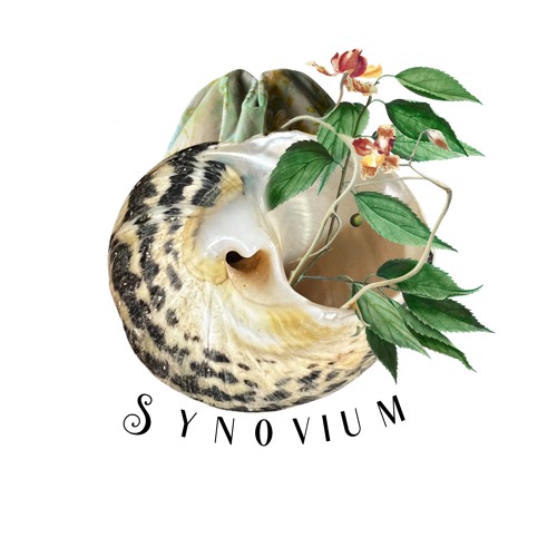 Stream Season One Artist Highlight: The Sensuous Potentiality of Plants ...