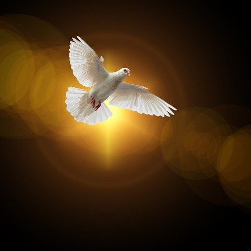 Stream Our Advocate, the Holy Spirit by Blessed Meditations | Listen ...