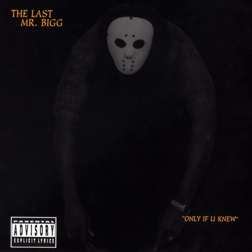 Stream Laughin' Murderah by The Last Mr. Bigg | Listen online for free ...
