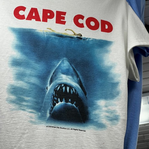 Stream episode Posing for the Iconic “Jaws” Poster: An Interview with ...