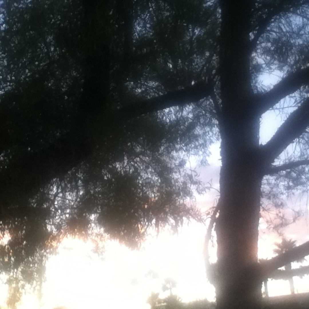 Stream I Was Someone Else by red letter diary | Listen online for free ...