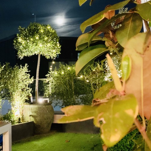 Stream BB-inLDT: Borderline by BB-IN-LDT | Listen online for free on ...