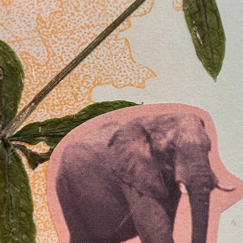 Stream Pascal's Triangular Wager (Demo) by Caleb Couvion | Listen ...