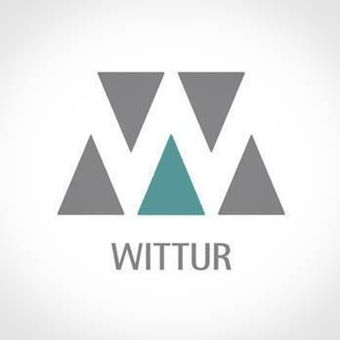 Stream episode Stephenson Joins Wittur As CEO by Elevator World podcast ...