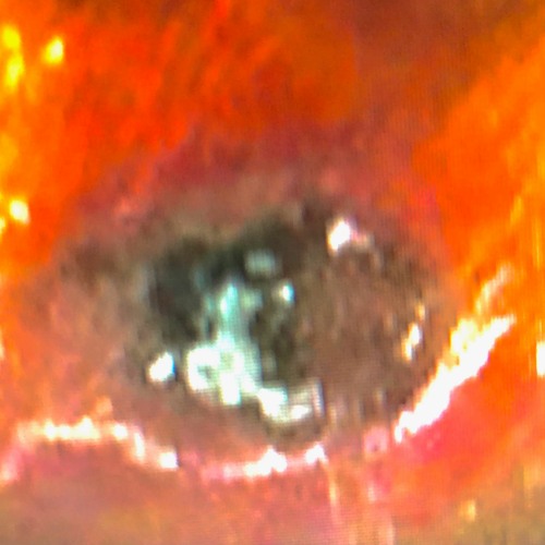 Stream "AND I'M GONE" into "MARK IT IN BLOOD" original songs Copyright ...