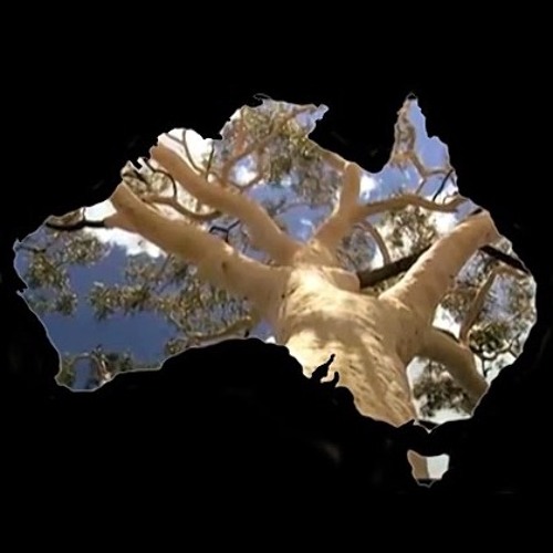 Stream National Anthem Of STRAYA by Nicholas | Listen online for free ...