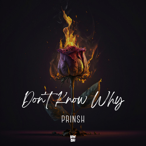 Stream LOWBR Network | Listen to PRINSH - Don’t Know Why playlist ... Stream LOWBR Network | Listen to PRINSH - Don’t Know Why playlist ...