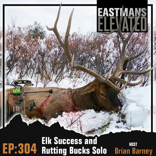 Stream episode Episode 304: Elk Success and Rutting Bucks with Brian ...