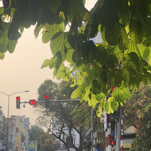 thiên lý ơi | T.R.I cover - Listen to music