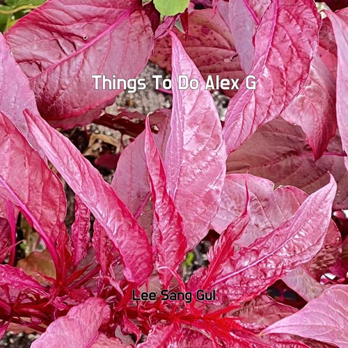 Stream Things To Do Alex G By Lee Sang Gul Listen Online For Free On