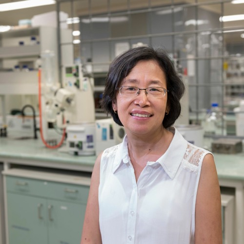 Stream episode GRIDD Podcast 4 - Assoc Prof Yun Feng by Griffith ...