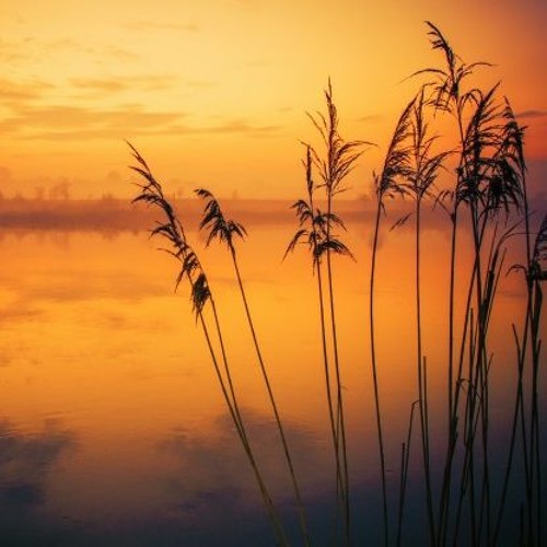 Stream Canne Del Acqua by Lydia Jane Pugh | Listen online for free on ...