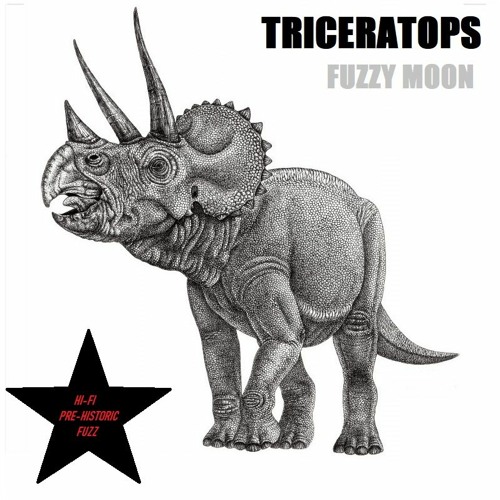 Stream Triceratops by Fuzzy Moon | Listen online for free on SoundCloud