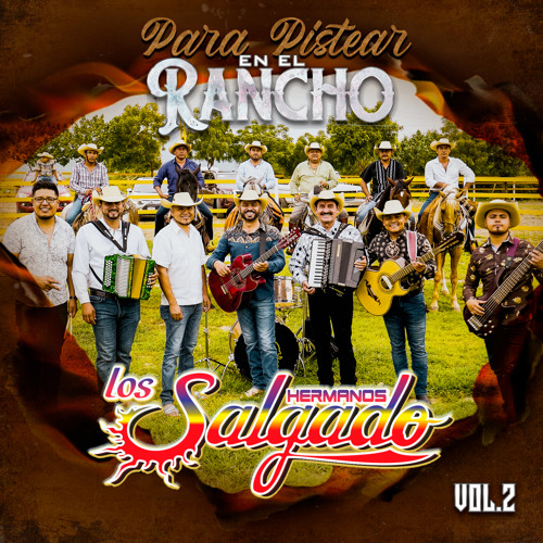 Stream Como Primos Hermanos by Los Hermanos Salgado | Listen online for ...