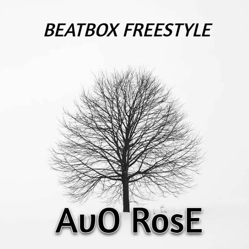 Stream AvO RosE _ Beatbox Freestyle by AvO RosE | Listen online for ...