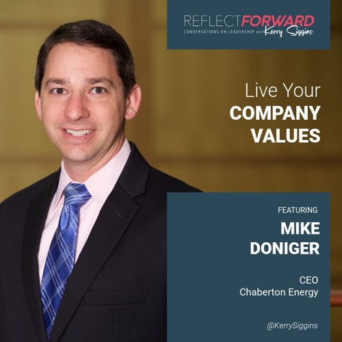 Stream episode Live Your Company Values w/ Mike Doniger by Reflect ...
