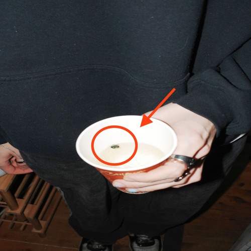 Stream ceechynaa remix (with snowtoucan) by lvndquist | Listen online ...