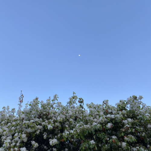 Stream walkaroundthepark by Jordan Calderon | Listen online for free on ...