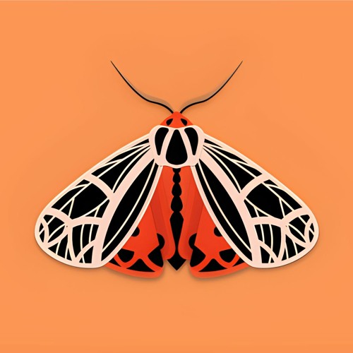 Stream Shrimp Tails Look Like Shiny Moths [Raw OP-1 Audio] by Petrichor ...