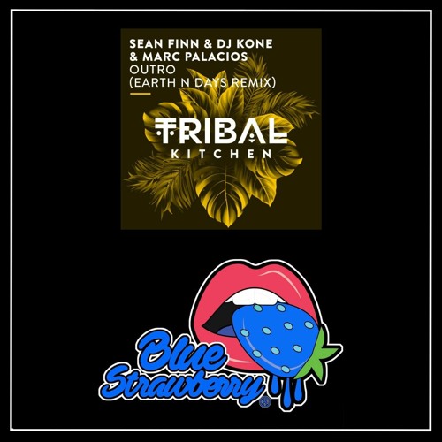 Stream Sean Finn & Dj Kone & Marc Palacios - Outro (Earth N Days Remix ...