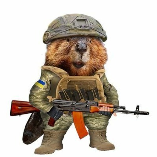 Stream Bober Kurwa by allfallsdxwn! | Listen online for free on SoundCloud