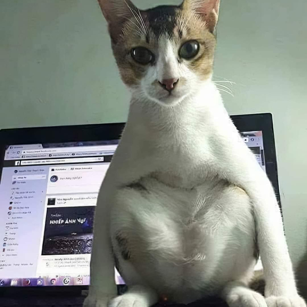 Stream Dương Đặng | Listen to vhjh playlist online for free on SoundCloud