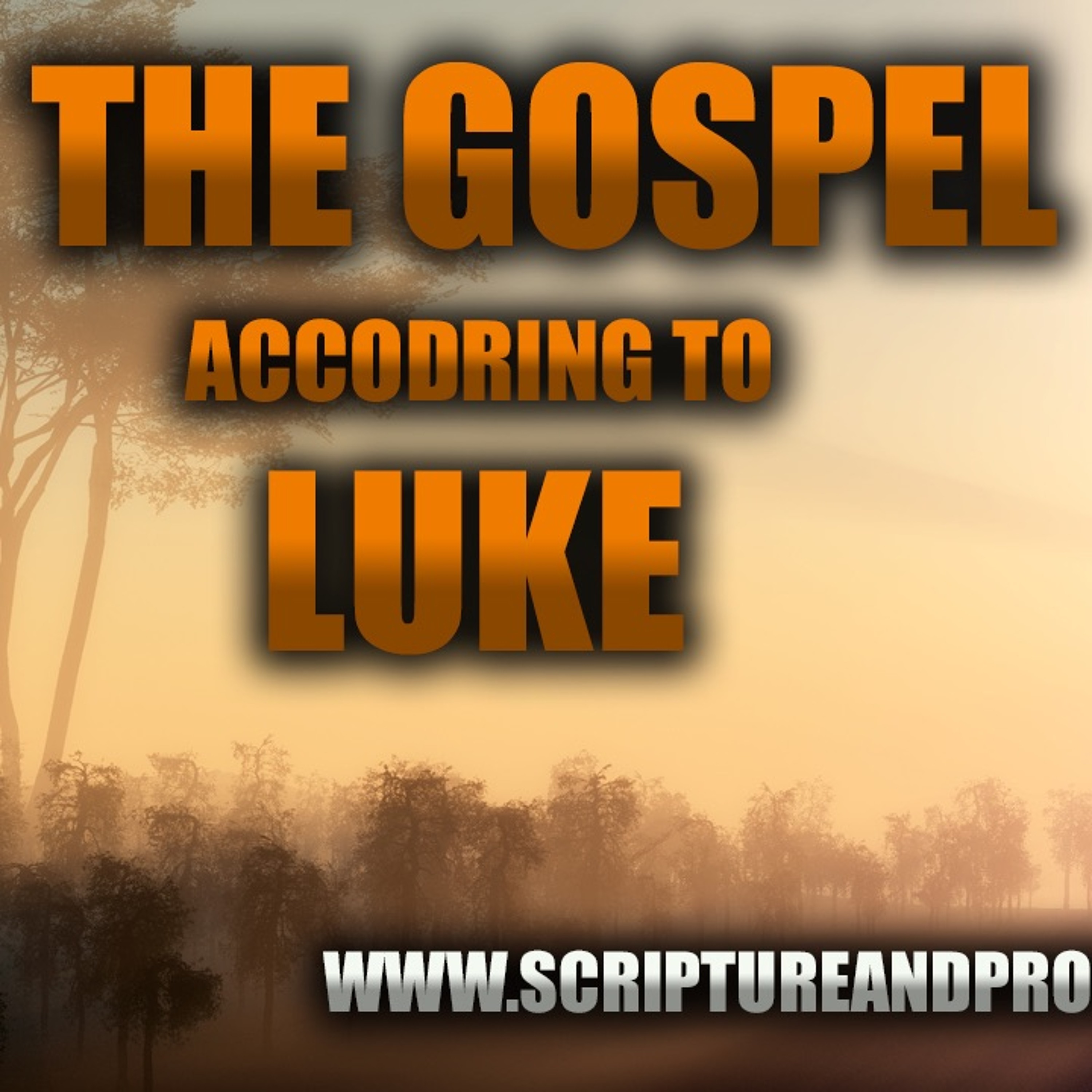 The Gospel of Luke Chapter 7 - Jesus' Testimony of John the Baptist ...