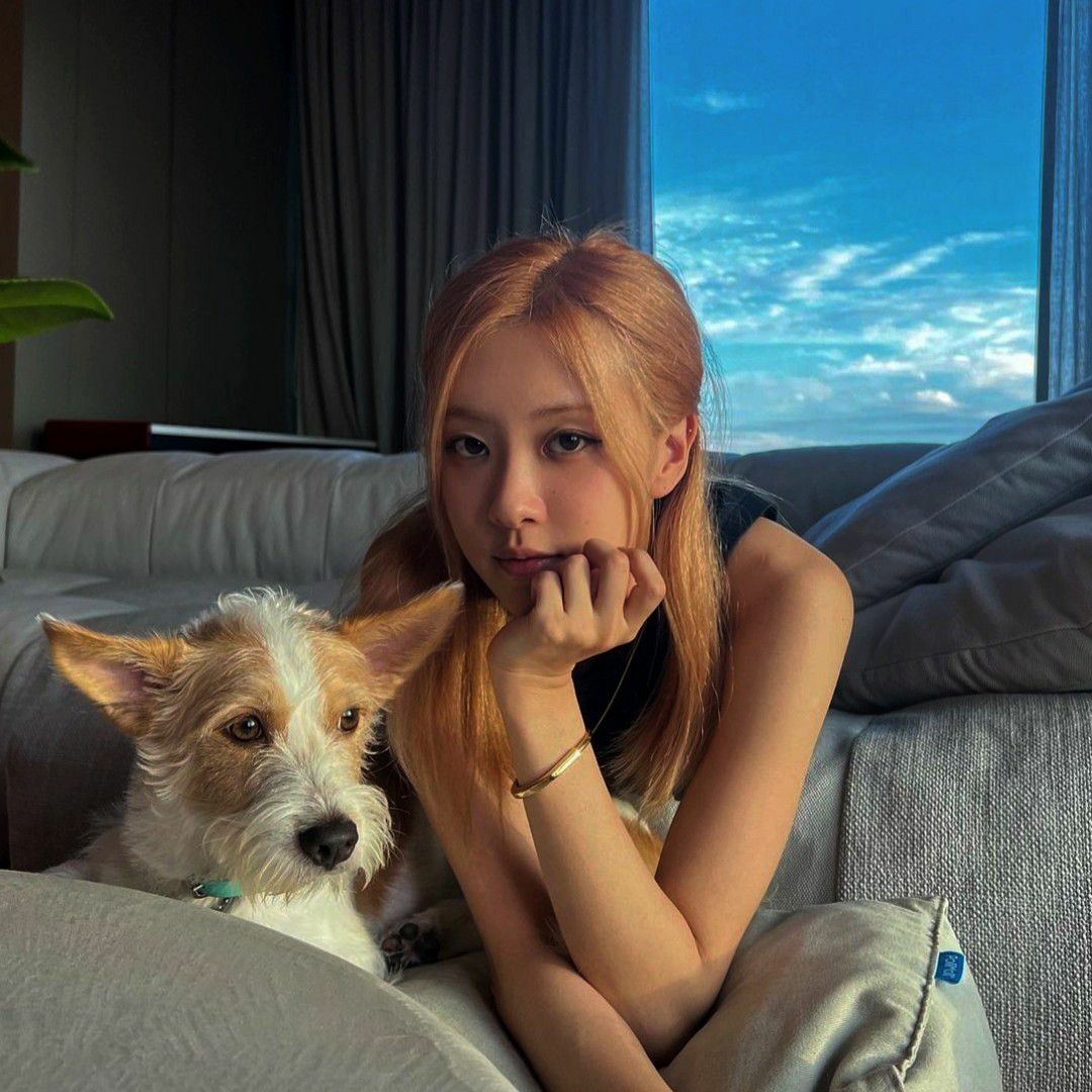 Stream blackpink: rosé - hard to love (sped up) by Vitaa 🫶🏻 | Listen ...