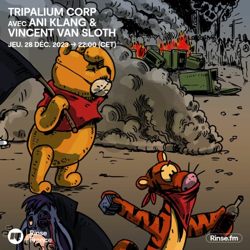 Stream TRIPALIUM CORP avec ANI KLANG & VINCENT VAN SLOTH - 28 Décembre 2023 by Rinse France ...