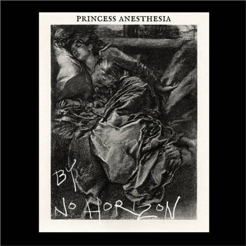 Stream Princess Anesthesia by No Horizon | Listen online for free on ...